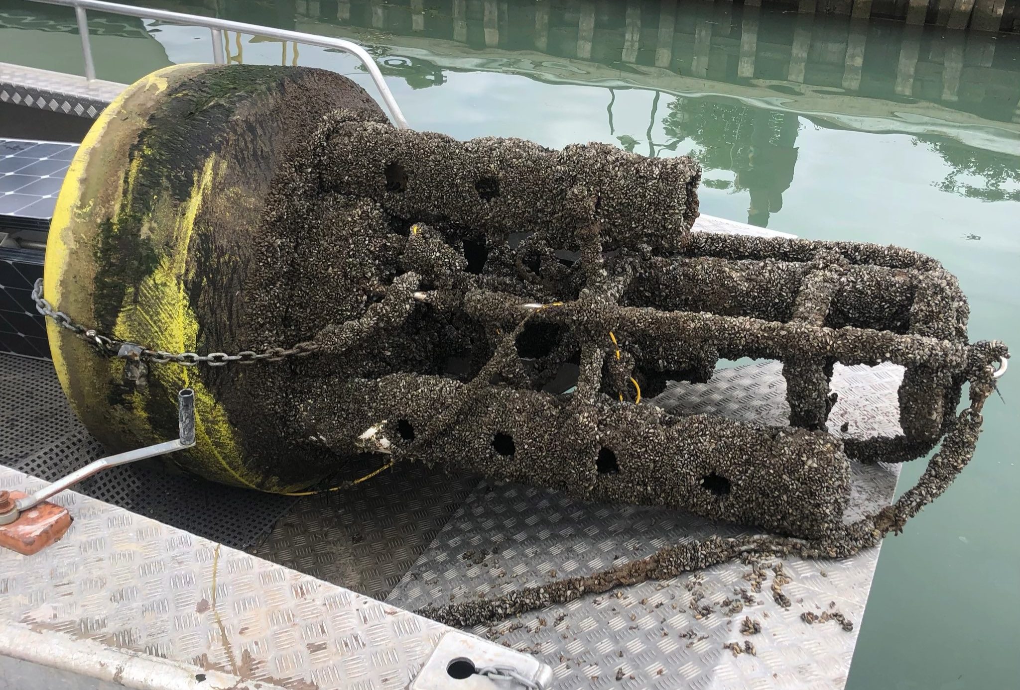 Most seasonal platforms are out of the water for the season - GLOS